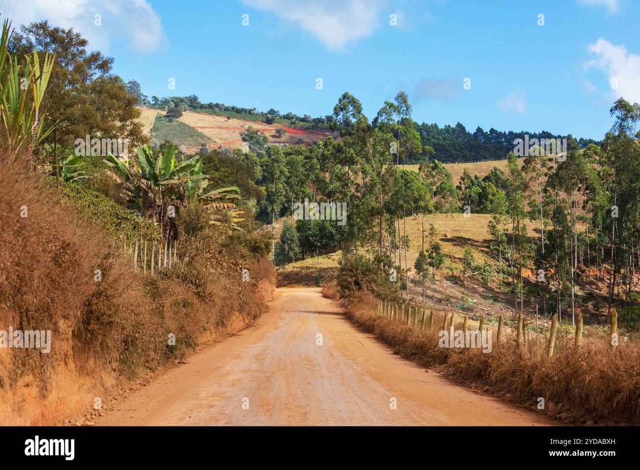 Rural landscapes in Brazil Stock Photo - Alamy
