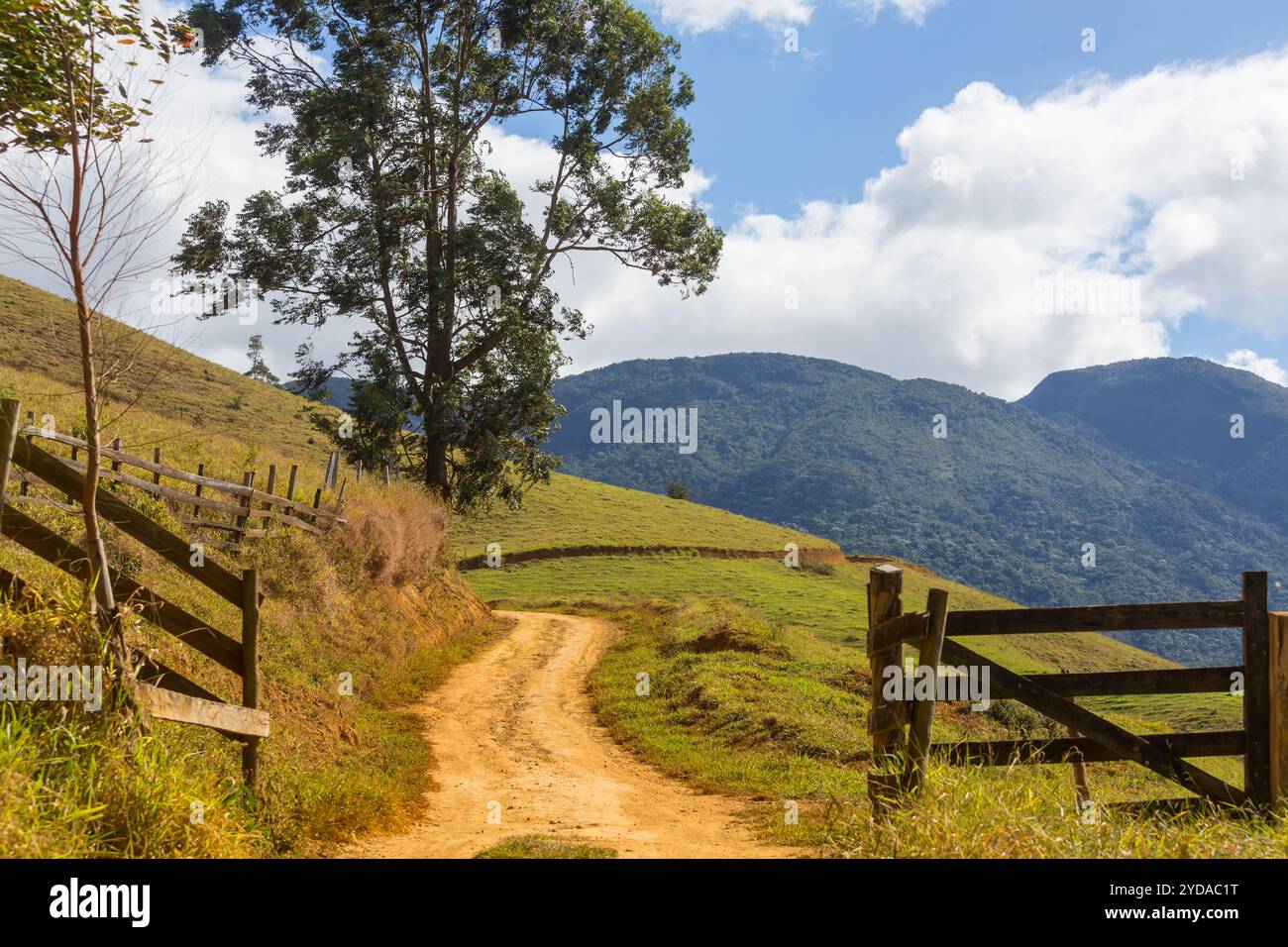 Rural landscapes in Brazil Stock Photo - Alamy