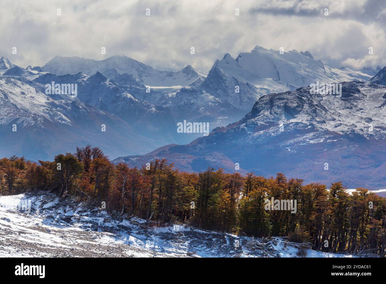 Autumn in Patagonia Stock Photo - Alamy