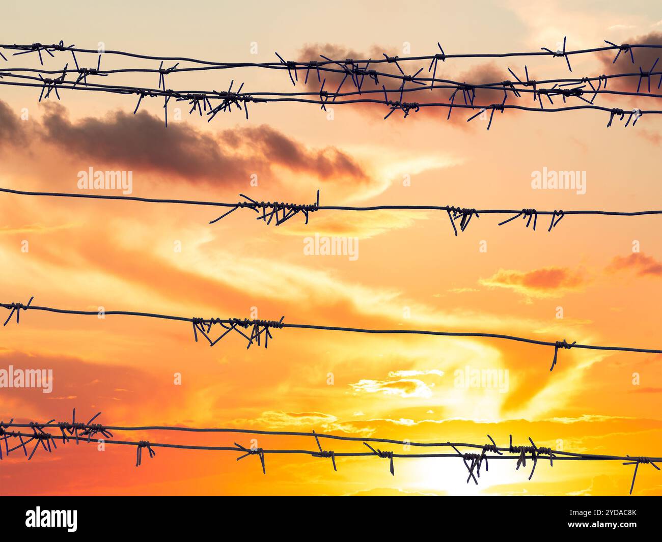 Silhouette of Barbed wire with sunset background Stock Photo - Alamy