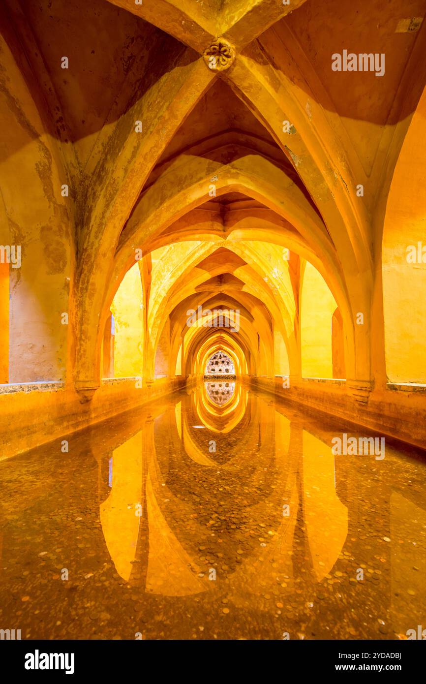 Underground cistern in the 10th century Real Alcazar (Royal Palace ...