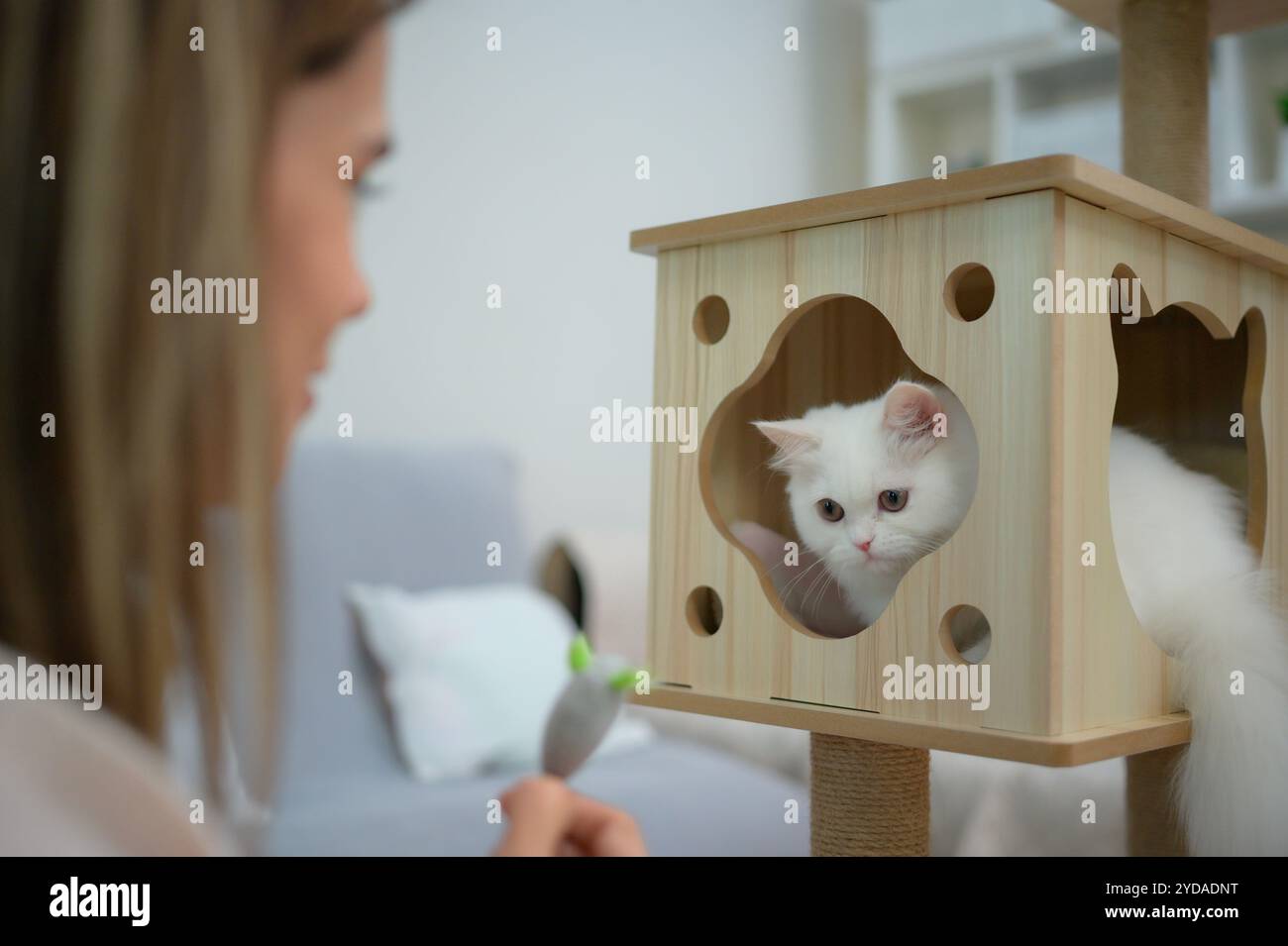 Pedigreed catch hi-res stock photography and images - Alamy