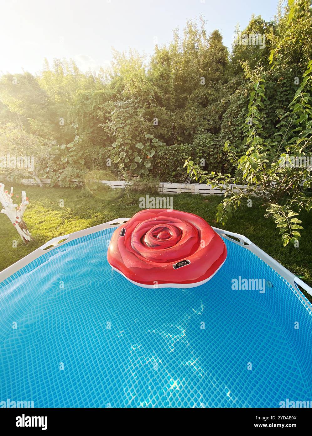 Frame pool with clear water for swimming in the garden in sunlight ...