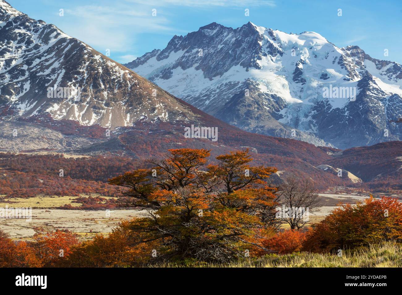 Autumn in Patagonia Stock Photo - Alamy