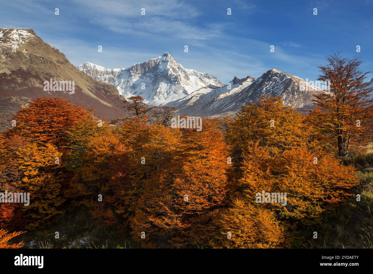 Autumn in Patagonia Stock Photo - Alamy
