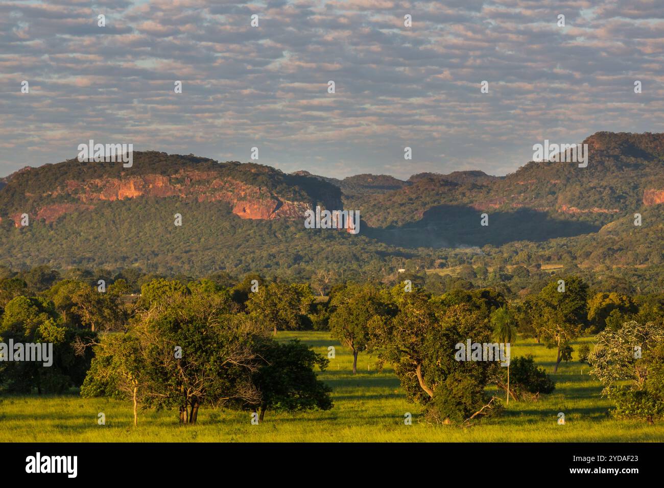 Rural landscapes in Brazil Stock Photo - Alamy