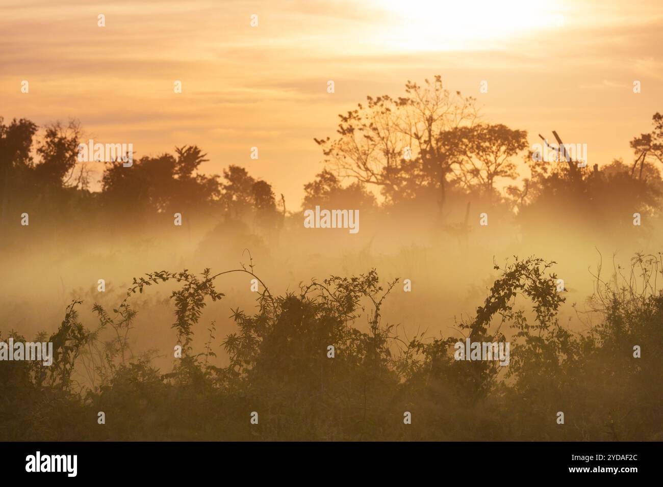 Rural landscapes in Brazil Stock Photo - Alamy