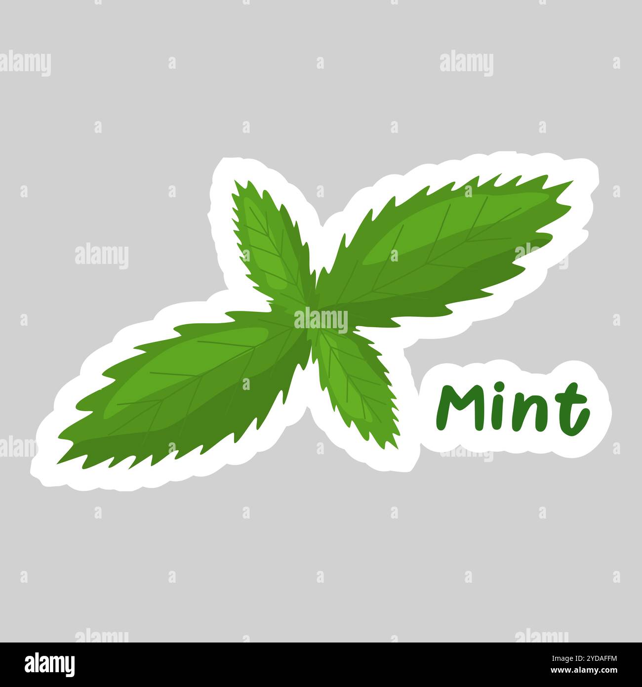 Sticker with green mint leaves, vector illustration Stock Vector Image & Art - Alamy
