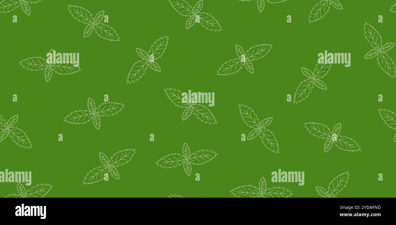 Seamless pattern with fresh mint leaves outline on green background ...