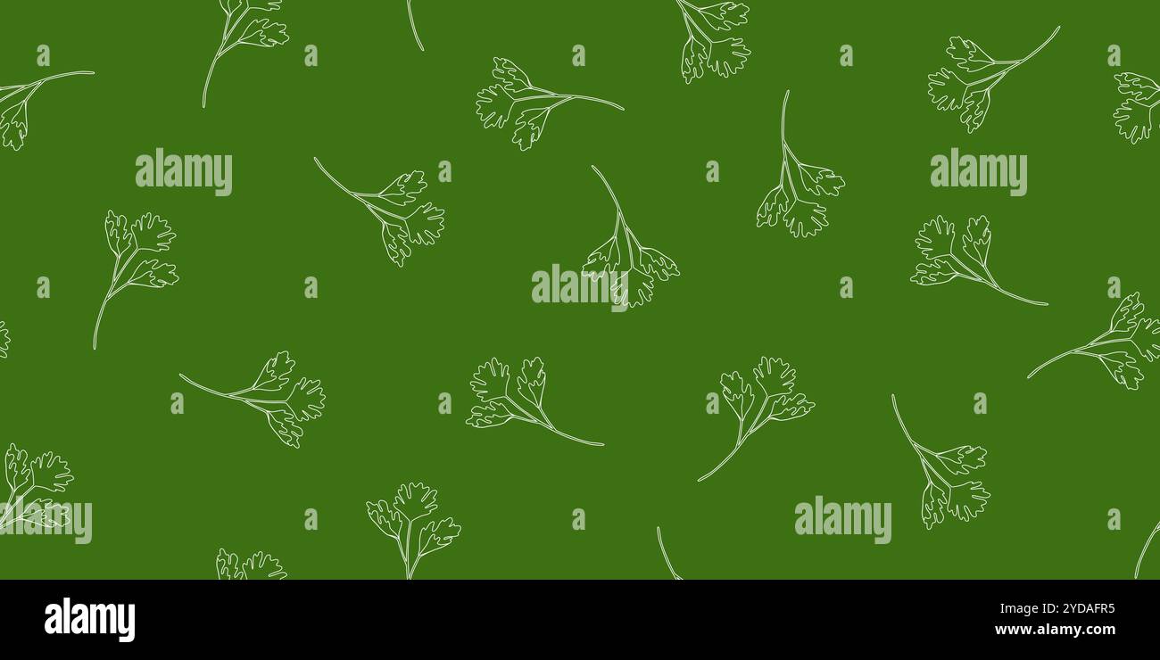 Seamless pattern with fresh parsley leaves outlines on dark green ...