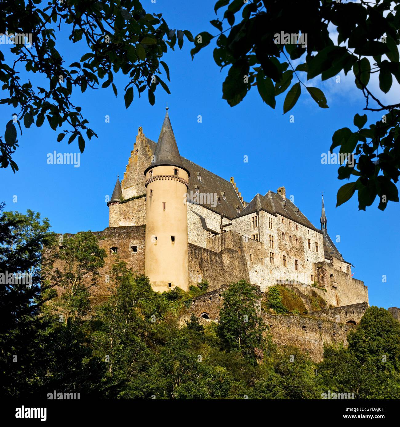 Vianden Castle, hilltop castle above the town, Vianden, Grand Duchy of ...
