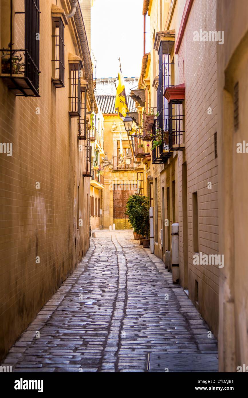 Exploring seville hi-res stock photography and images - Alamy