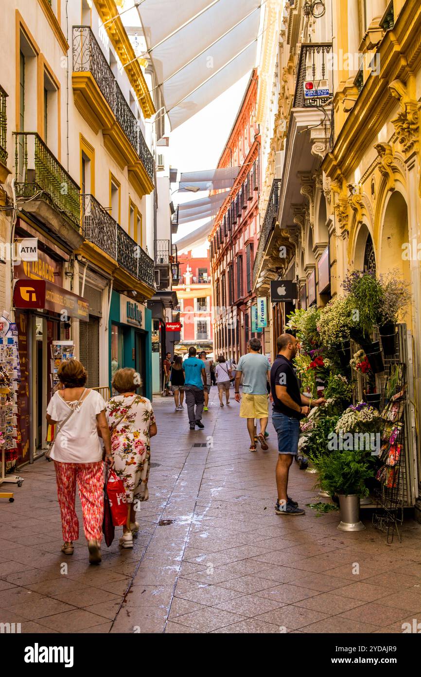 Seville spain street hi-res stock photography and images - Alamy