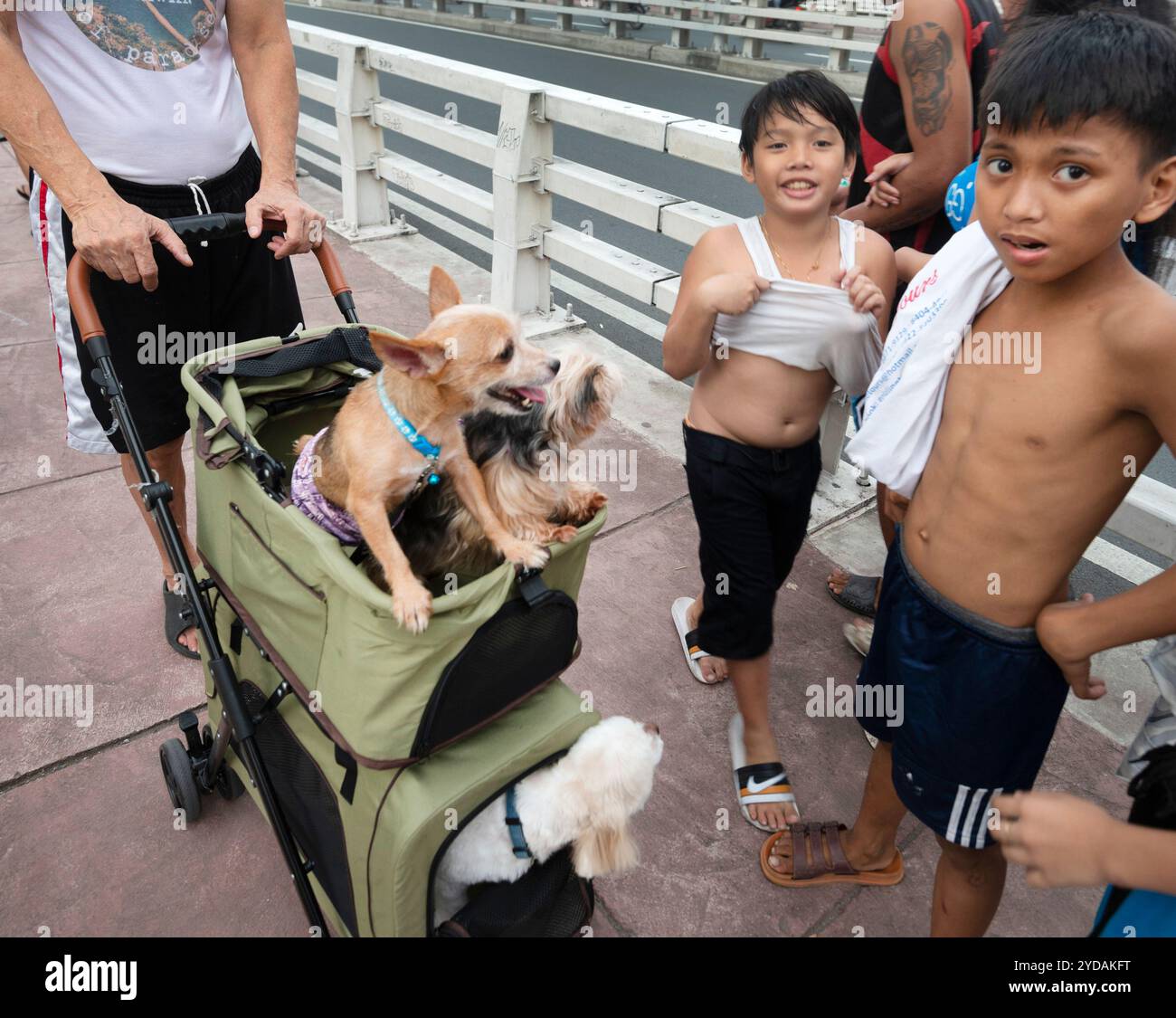 Manila,The Philippines-January 13 2023:In the late afternoon, little ...