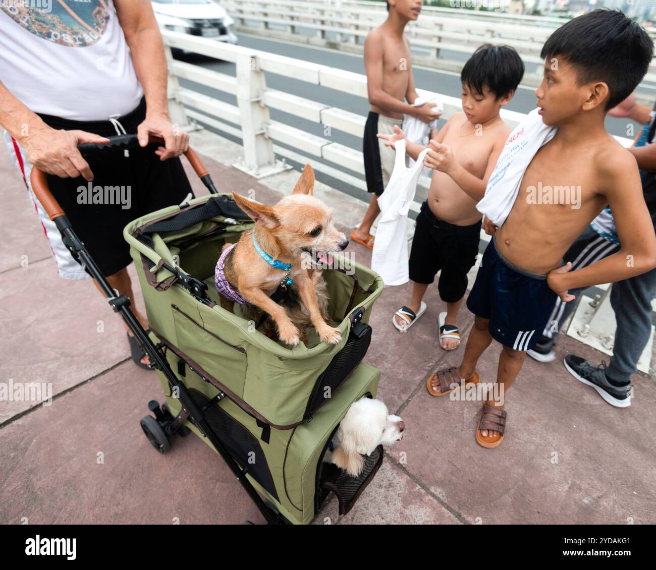 Manila,The Philippines-January 13 2023:In the late afternoon, little ...