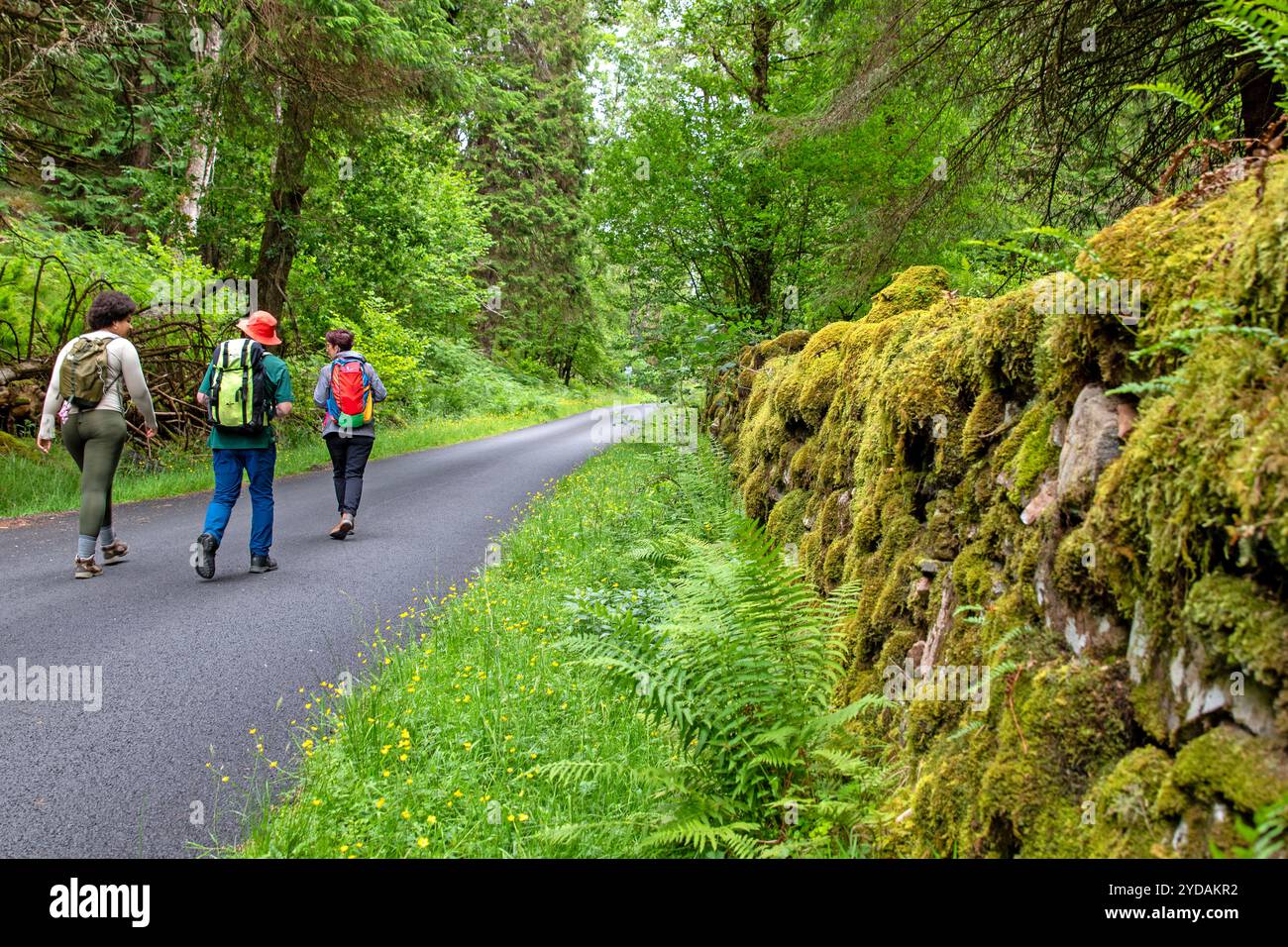 Hiking in dark hi-res stock photography and images - Alamy