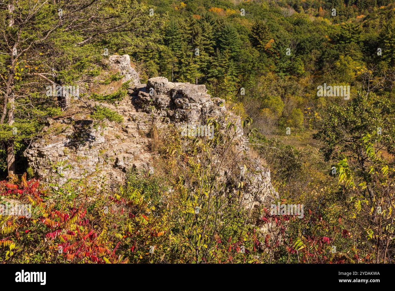A scenic landscape overlook in the woods with a cliff during autumn ...