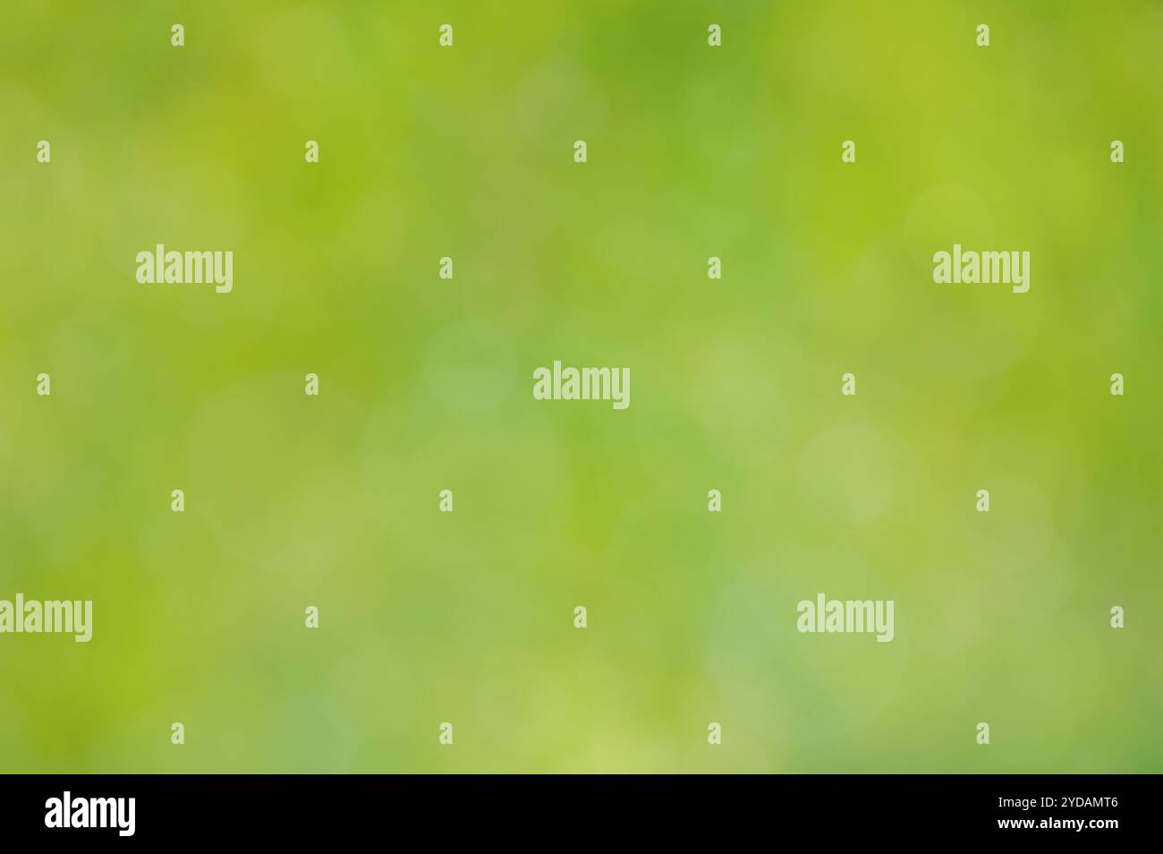 Abstract blurred green nature background Stock Photo - Alamy