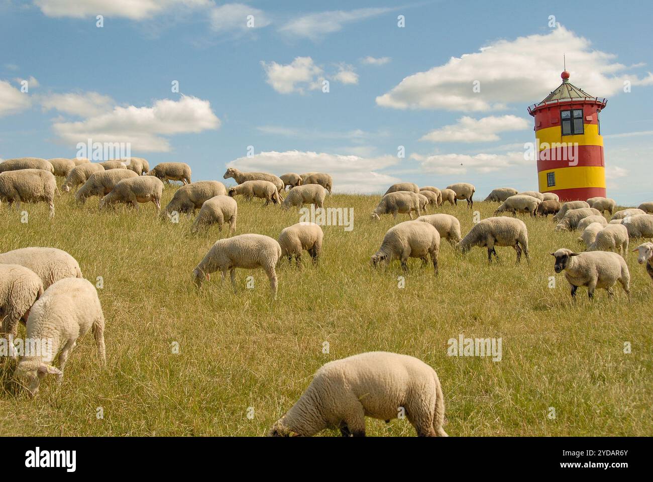 Pilsum lighthouse north sea hi-res stock photography and images - Alamy