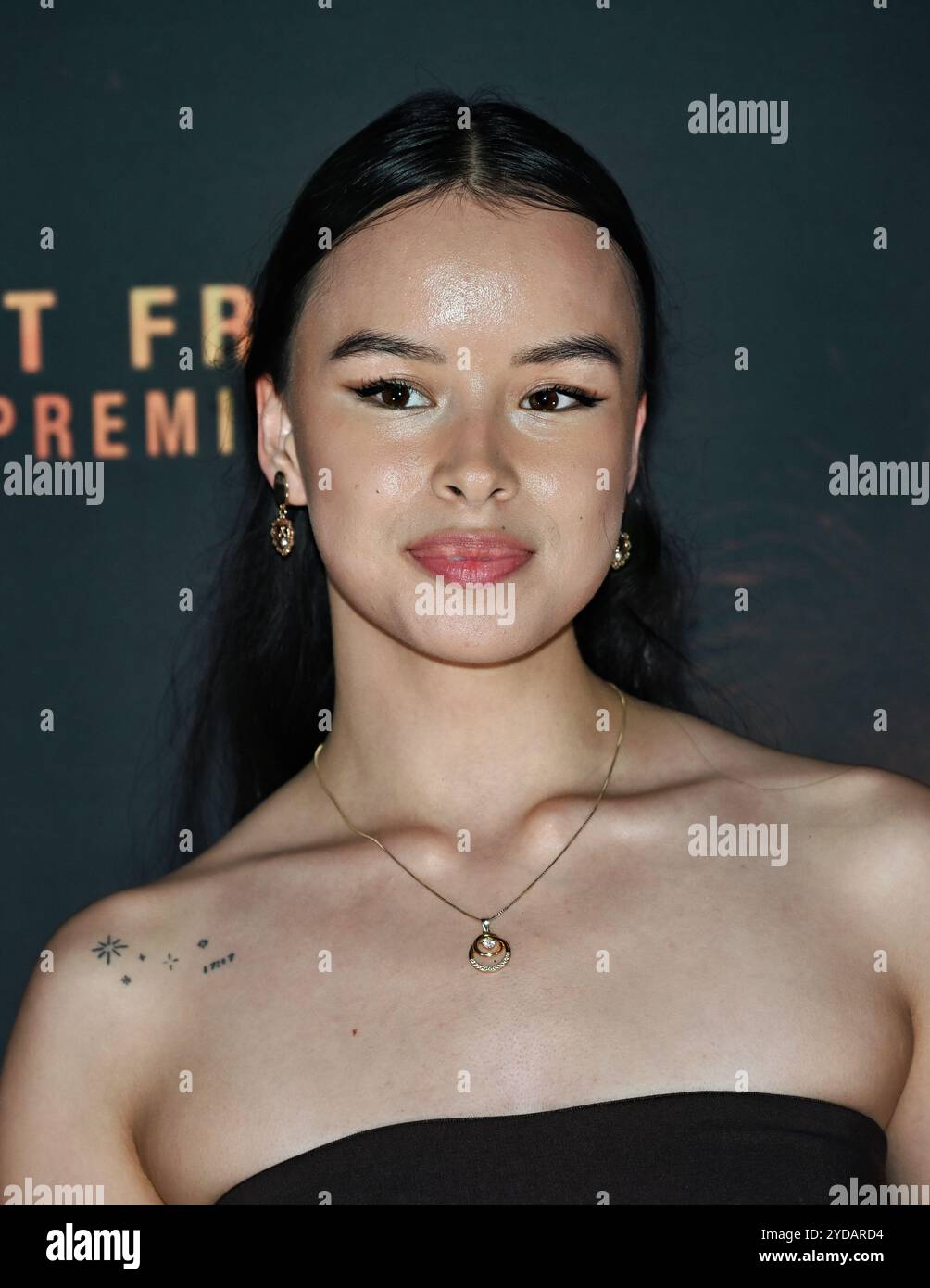 LONDON, UK. 25th Oct, 2024. "The Last Front" UK Premiere of First World ...