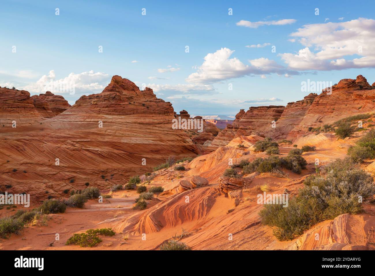 Coyote Buttes of the Vermillion Cliffs Wilderness Area, Utah and ...
