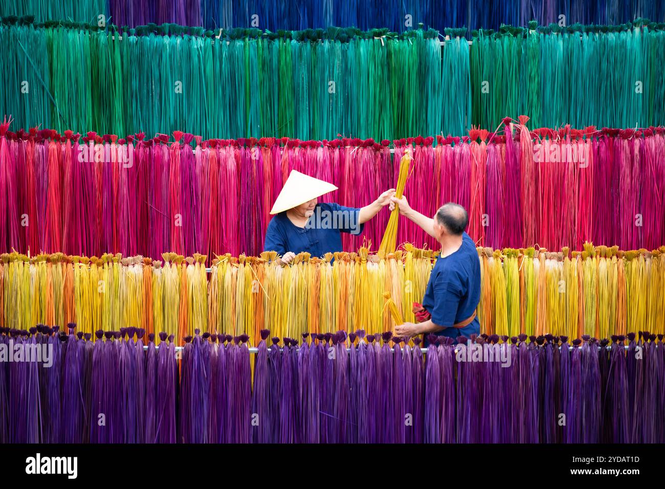 Processing of flax trees into different colors to be weaved into mats ...