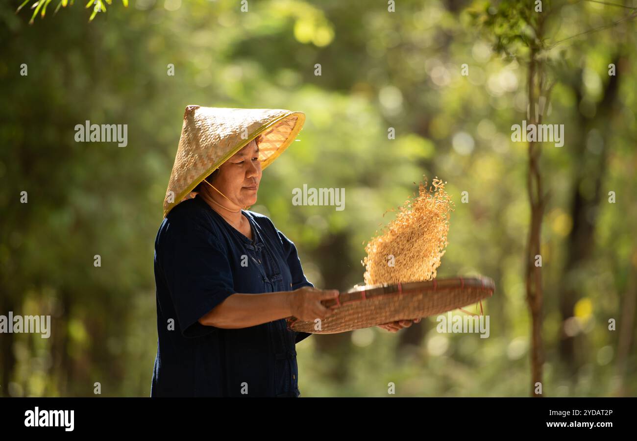 Rural life of Thai farmers More than 70% have to live on farming ...