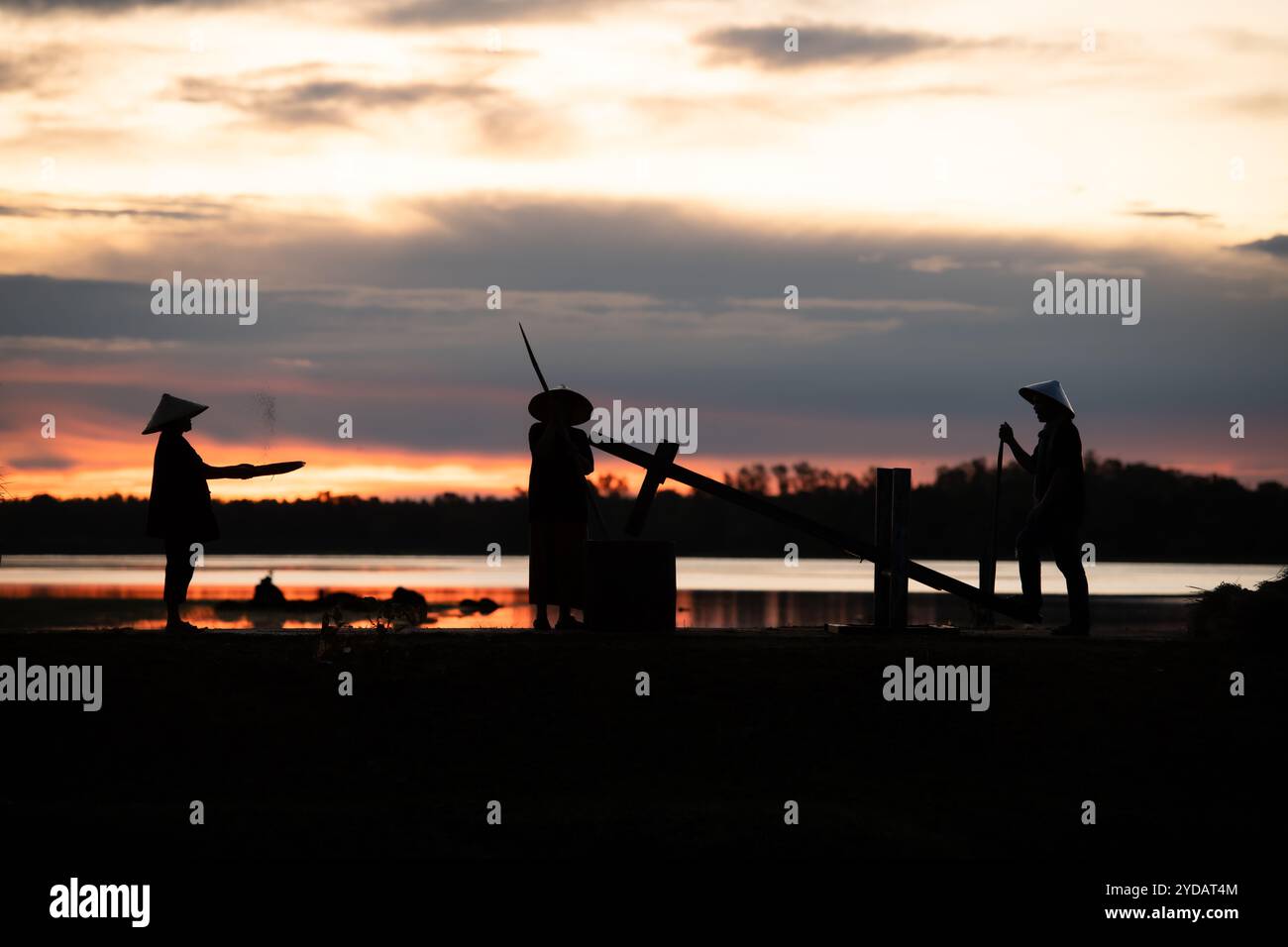 Rural life of more than 70% of Thai farmers is involved in rice farming ...