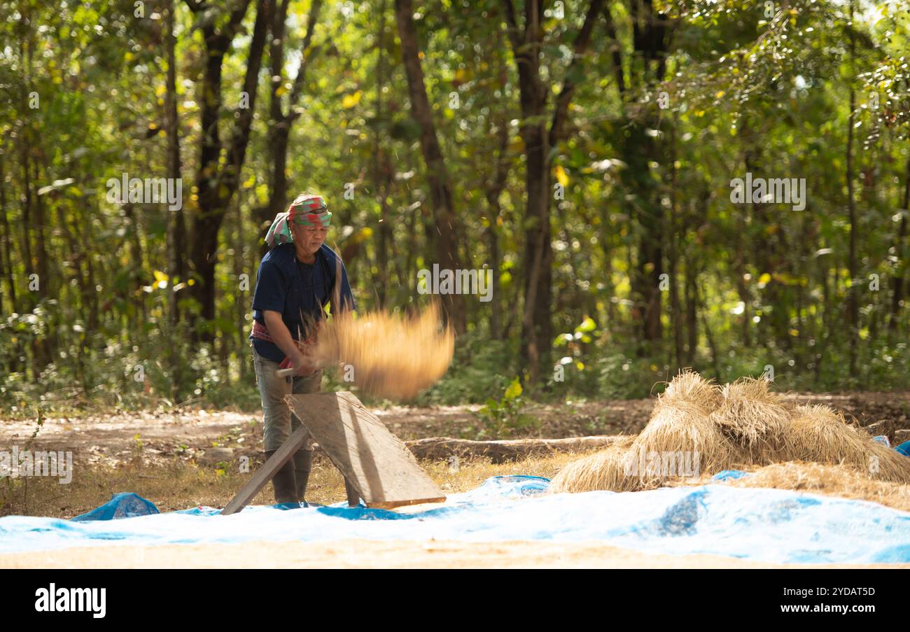 Rural life for more than 70% of Thai farmers involves farming. The ...