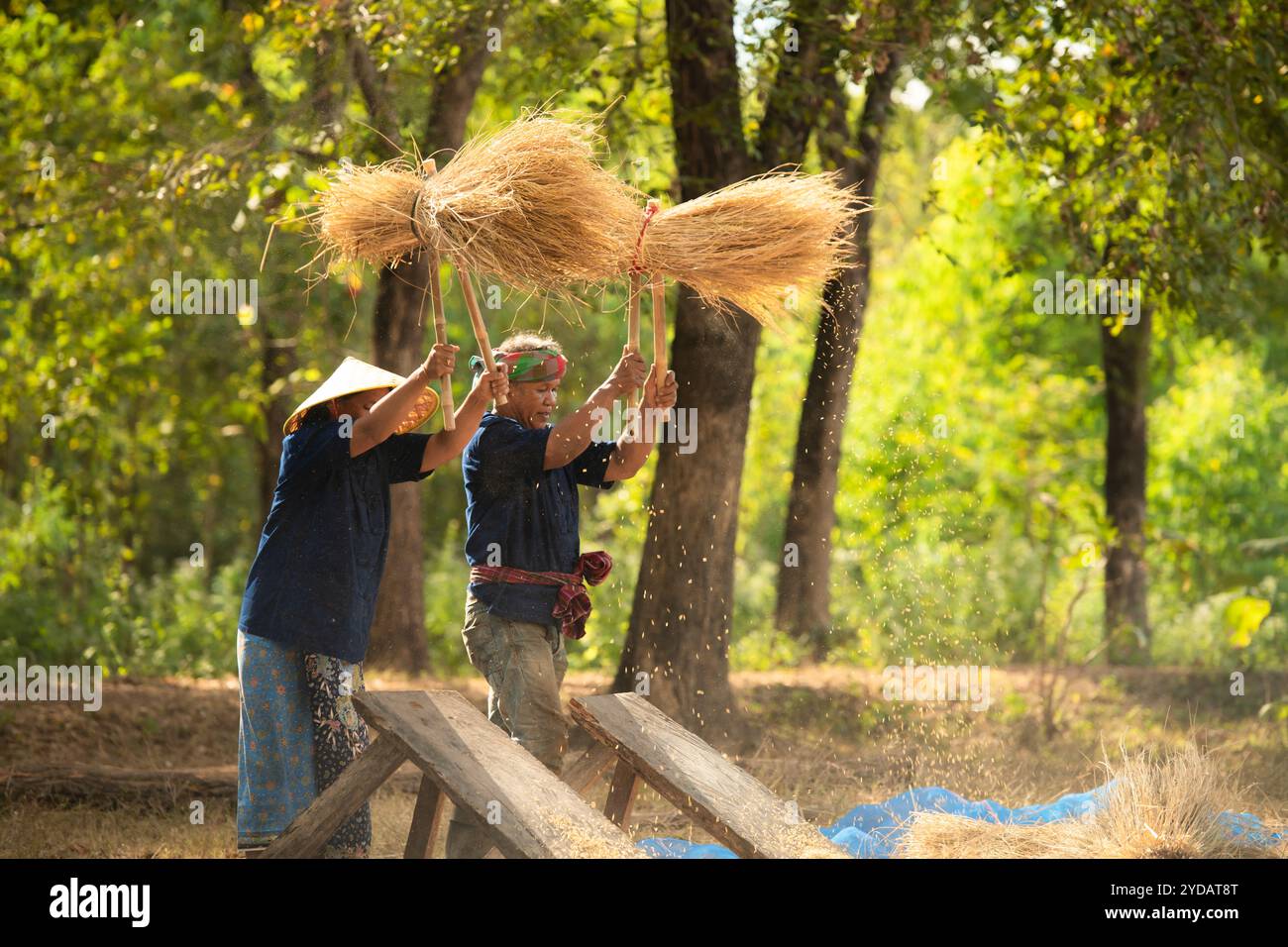 Rural life for more than 70% of Thai farmers involves farming Stock ...