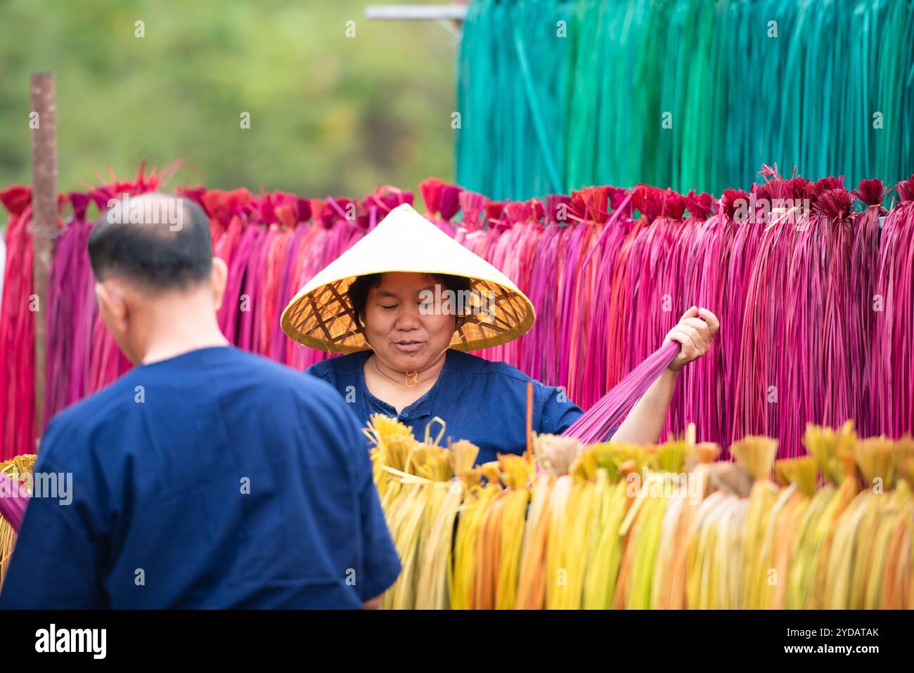 Processing of flax trees into different colors to be weaved into mats ...