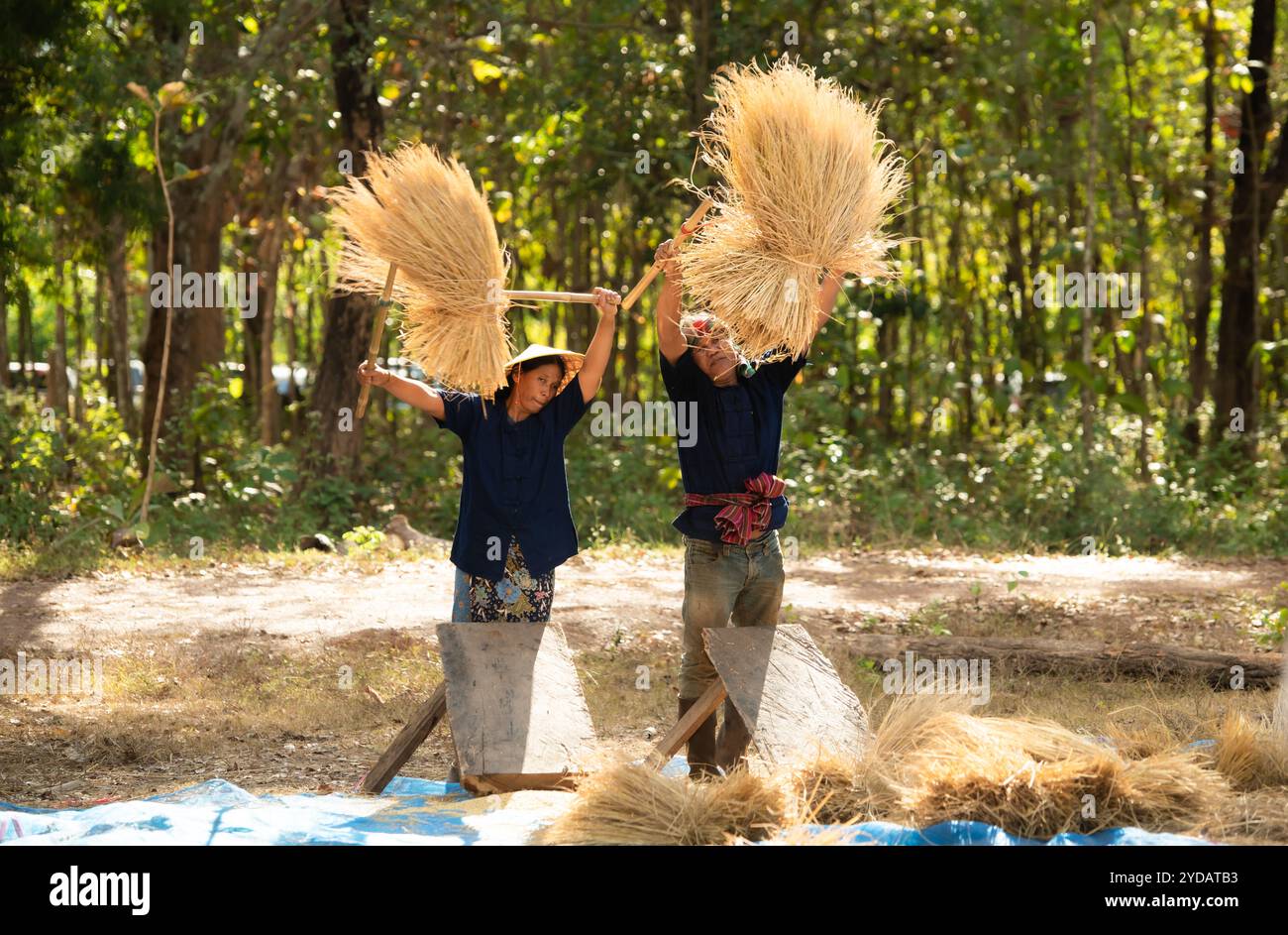 Rural life for more than 70% of Thai farmers involves farming Stock ...