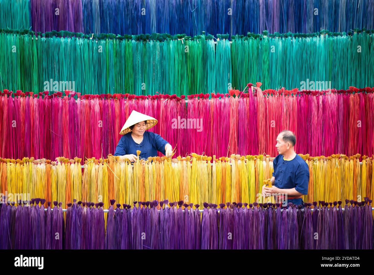 Processing of flax trees into different colors to be weaved into mats ...