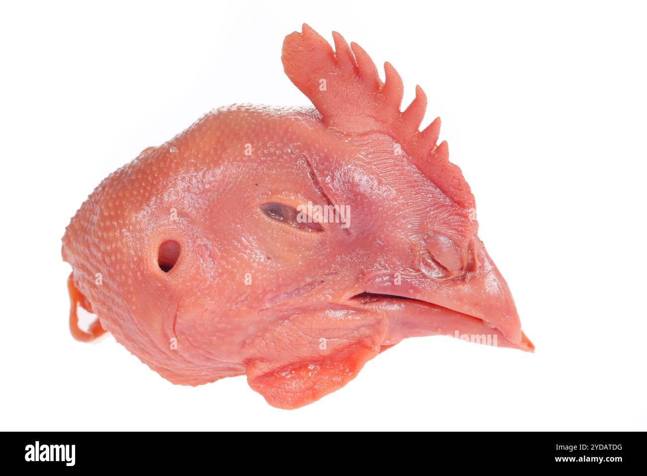 Poultry chicken schnitzel Cut Out Stock Images & Pictures - Alamy