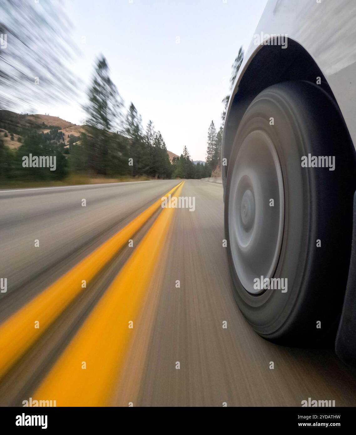 Pov driving through forest road hi-res stock photography and images - Alamy