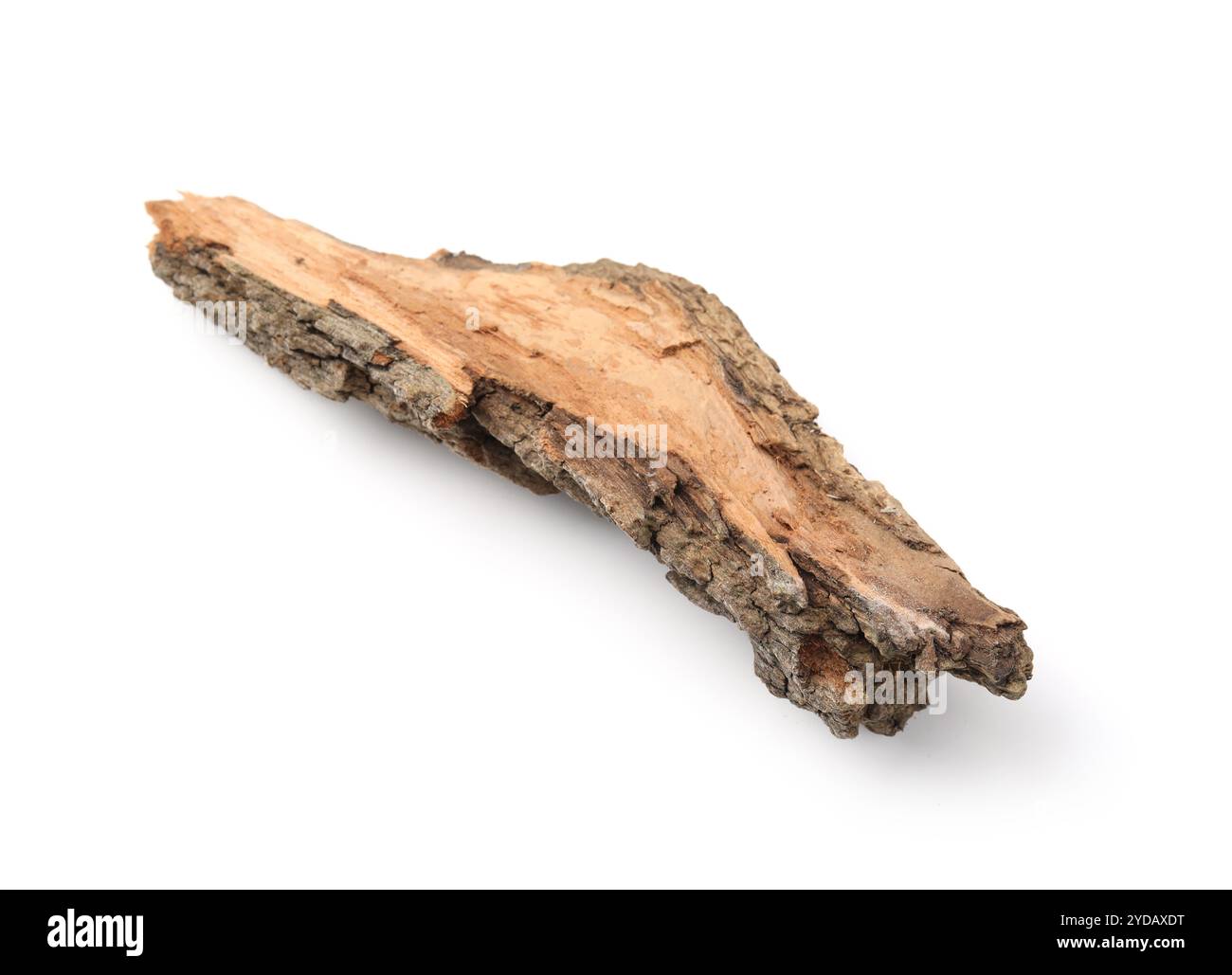 One piece of tree bark isolated on white Stock Photo - Alamy