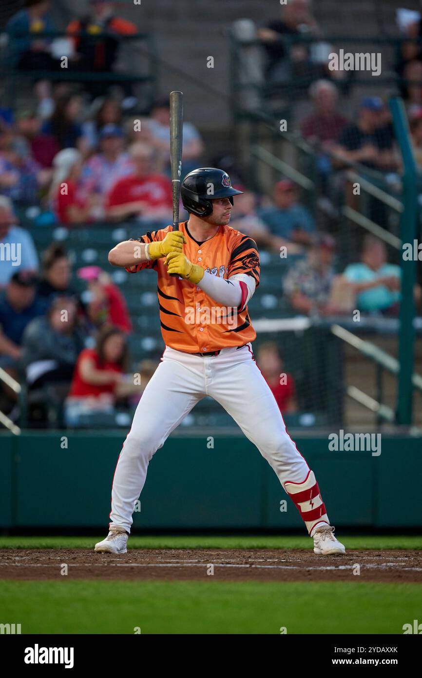 Rochester Red Wings Riley Adams (16) at bat during an MiLB ...