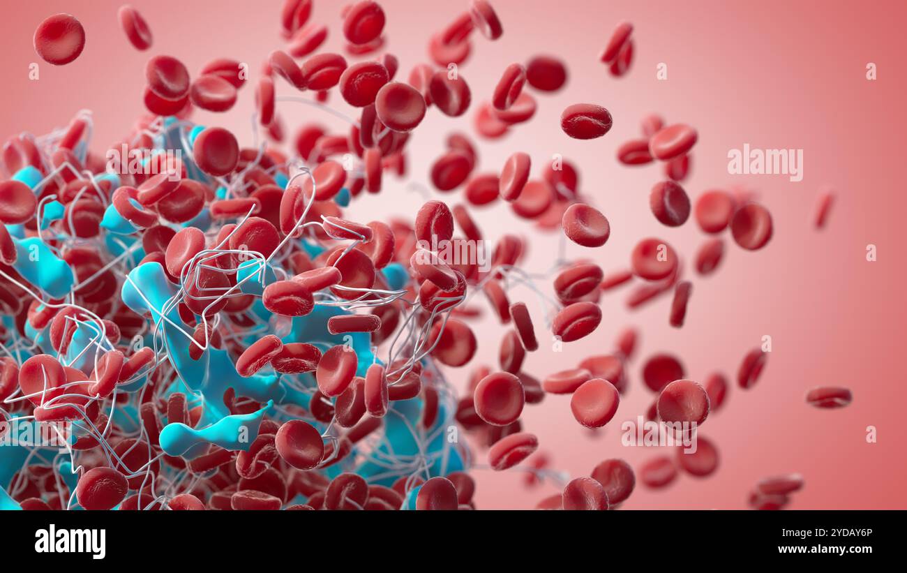 Illustration of clotted human red blood cells Stock Photo - Alamy