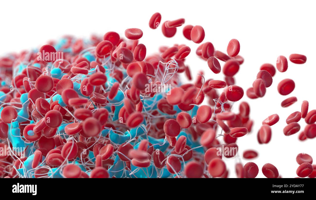 Illustration of clotted human red blood cells Stock Photo - Alamy