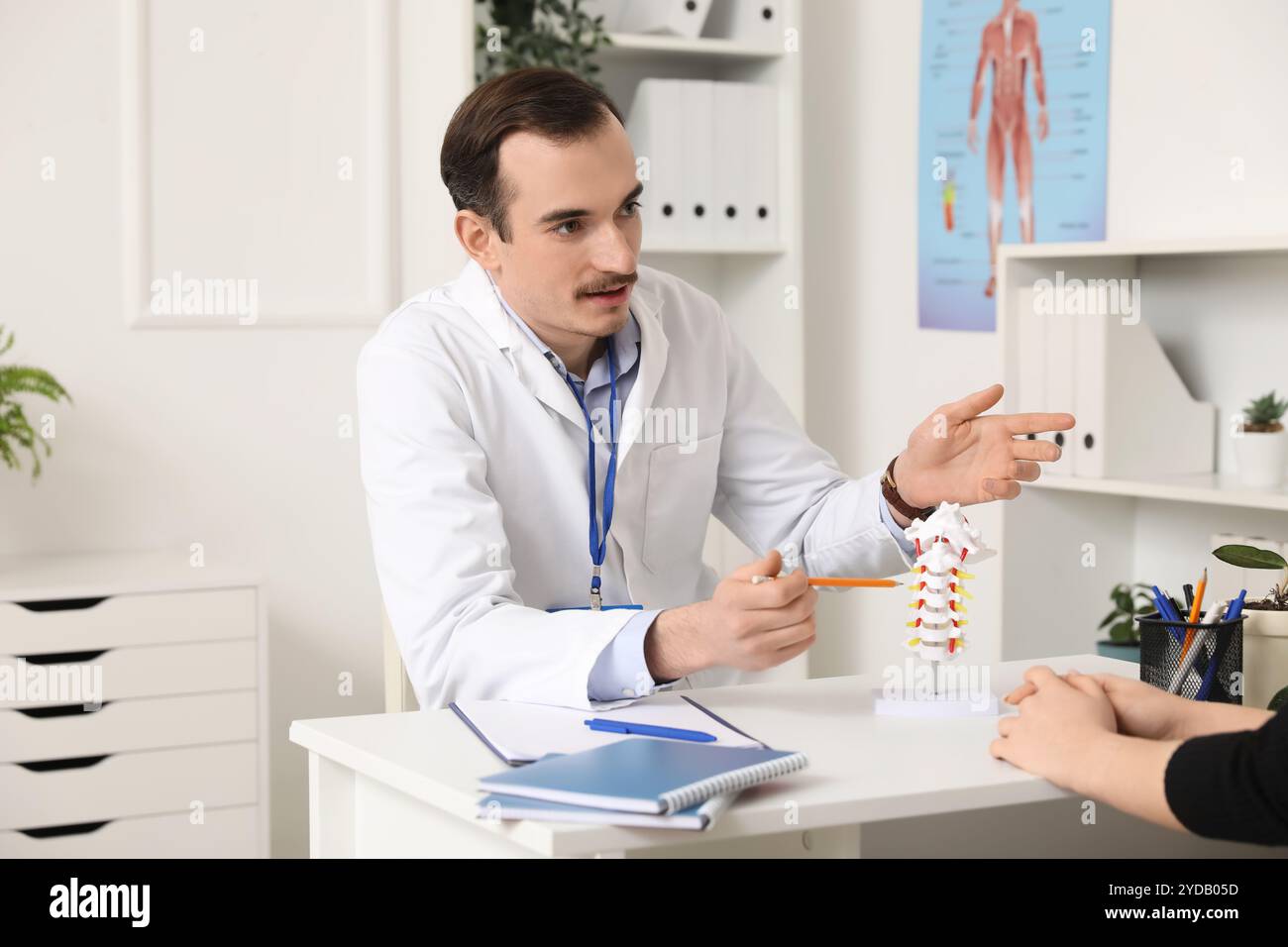 Male doctor explaining spinal anatomy with vertebral column model to ...