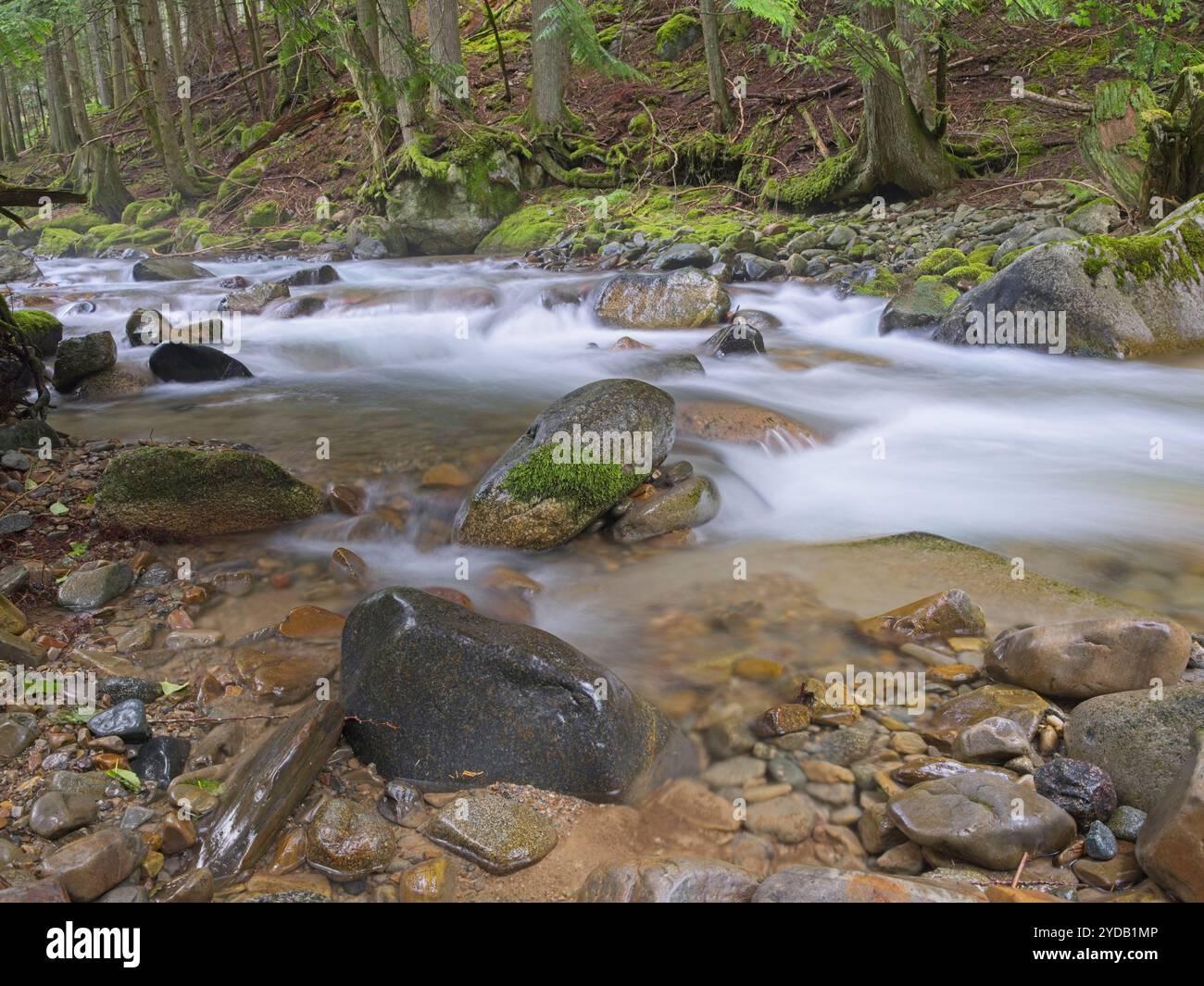 Fast moving Trestle Creek in Idaho Stock Photo - Alamy