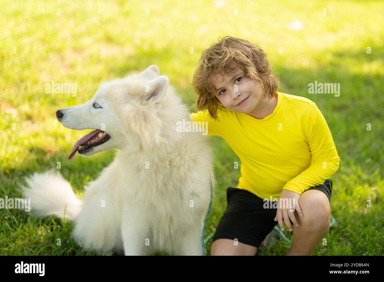 Portrait of Child and dog. Boy Playing with Husky. Kid hugging dog in ...