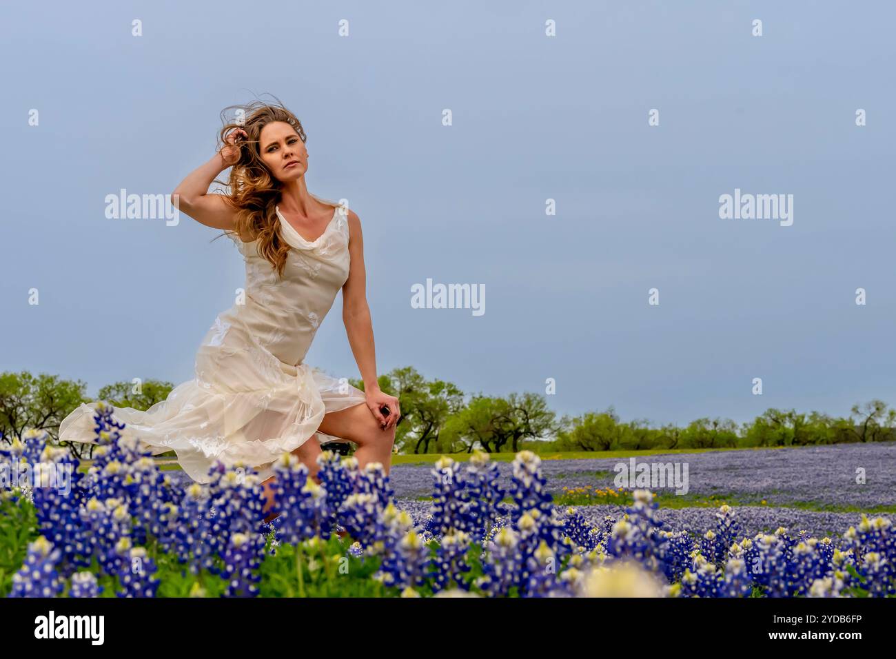 Bluebonnet field in spring hi-res stock photography and images - Alamy