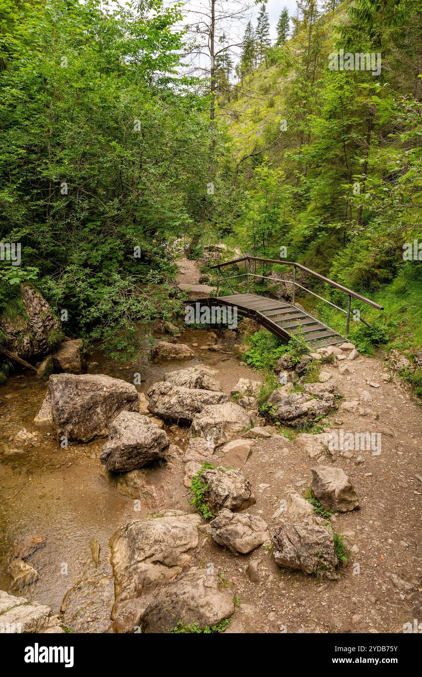 Homole gorge hi-res stock photography and images - Alamy