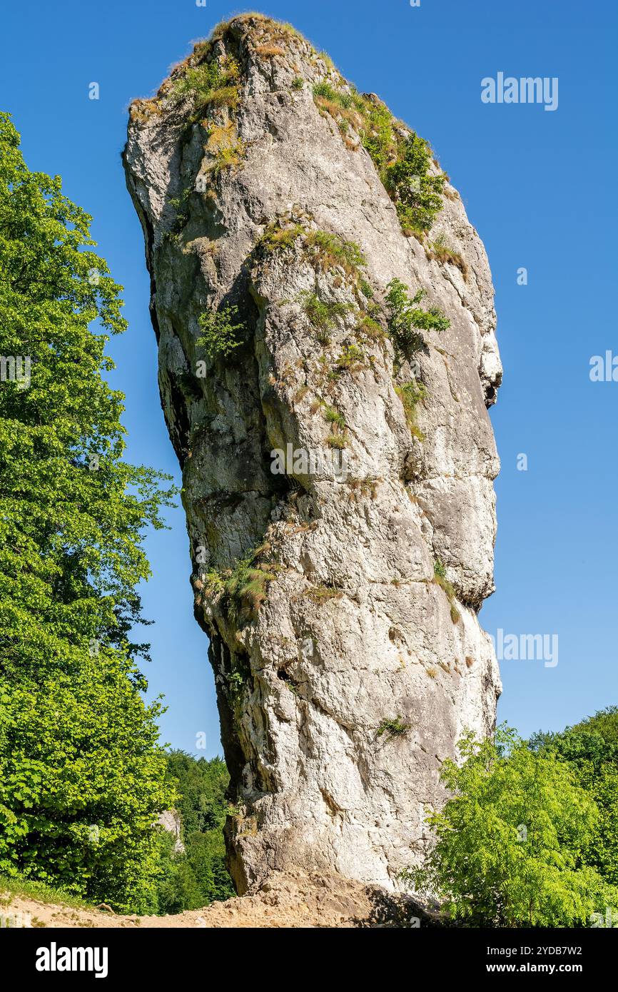 Herculess mace hi-res stock photography and images - Alamy