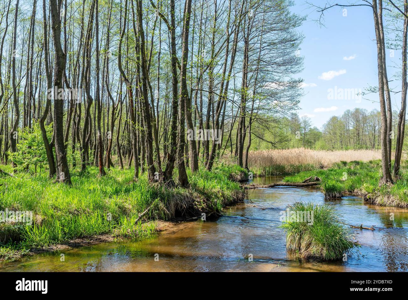 Biala river hi-res stock photography and images - Alamy