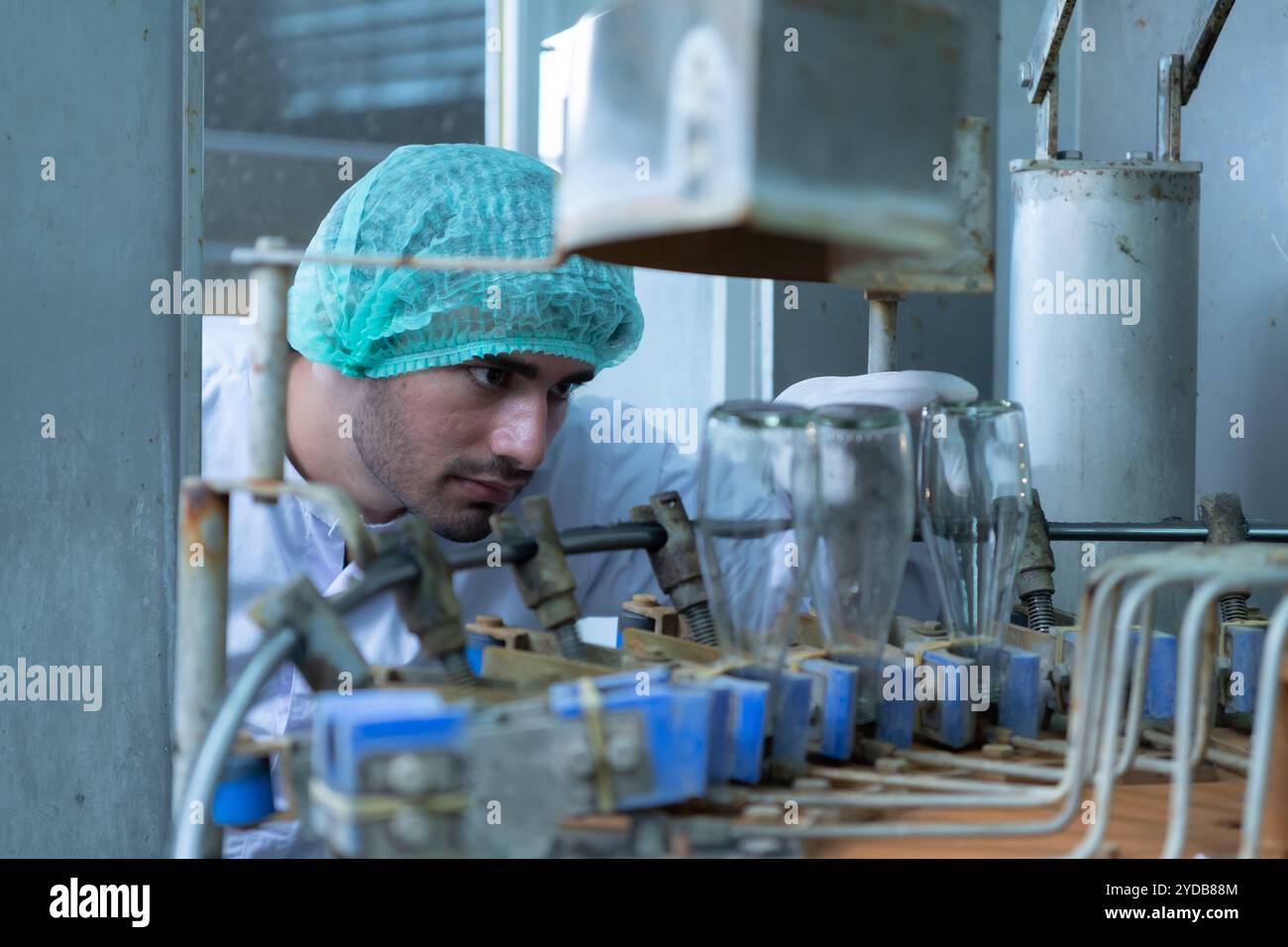 Product quality control officer in fruit juice production line Carry ...