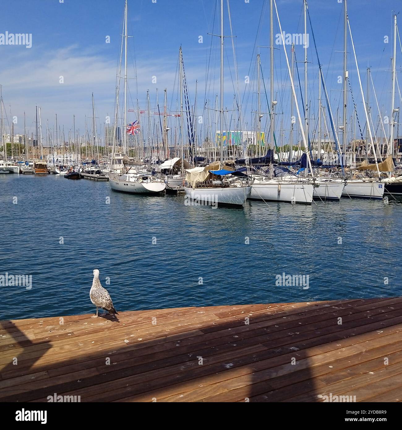 Sailing vehicle hi-res stock photography and images - Alamy