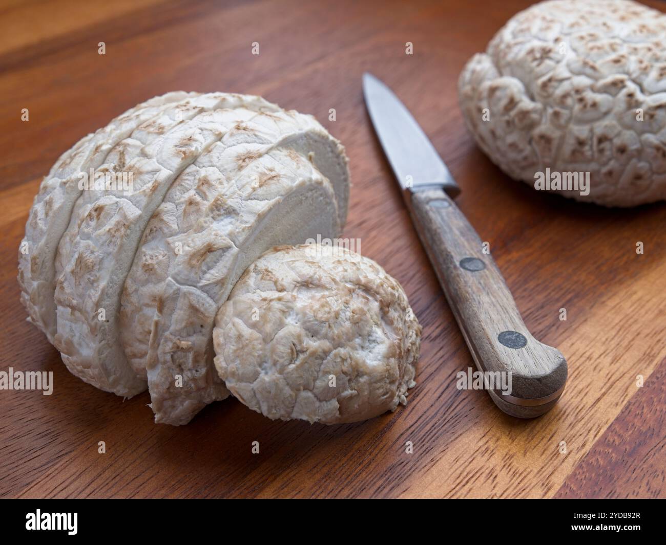 Puffball slices hi-res stock photography and images - Alamy