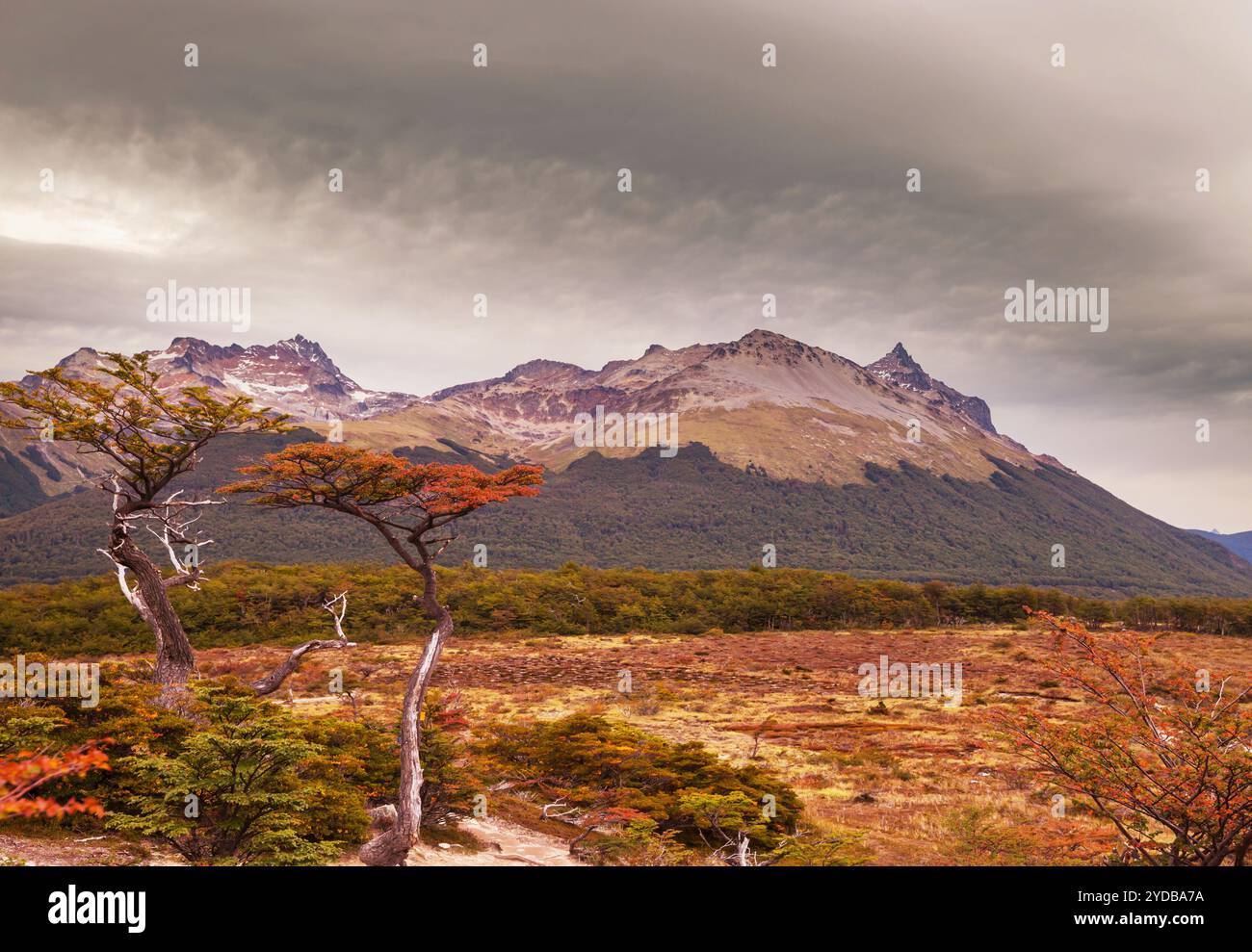 Autumn in Patagonia Stock Photo - Alamy